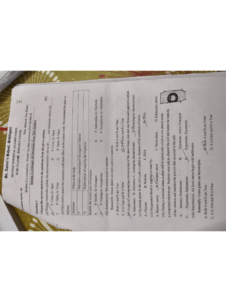 Bio 2nd Semester Paper | PDF