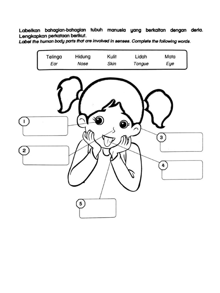 Latihan Label Anggota Badan | PDF
