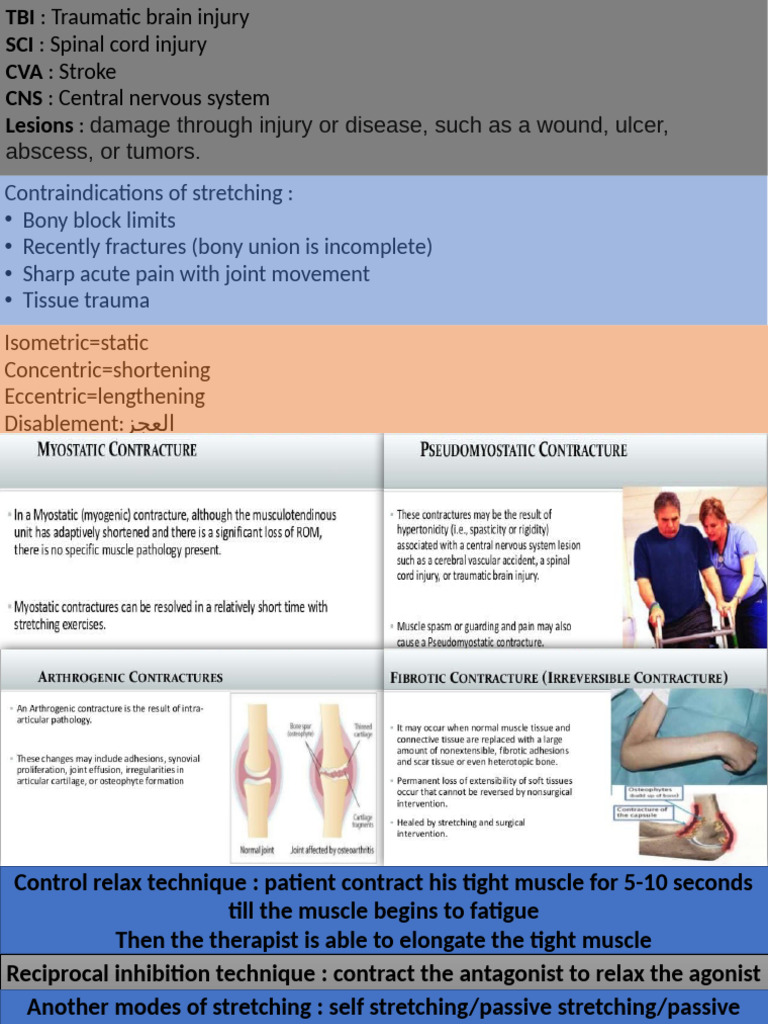 Stretching Techniques and Contraindications | PDF