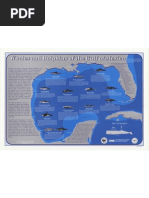 NOAA Shark Identification Placards | PDF | Sharks | Vertebrates