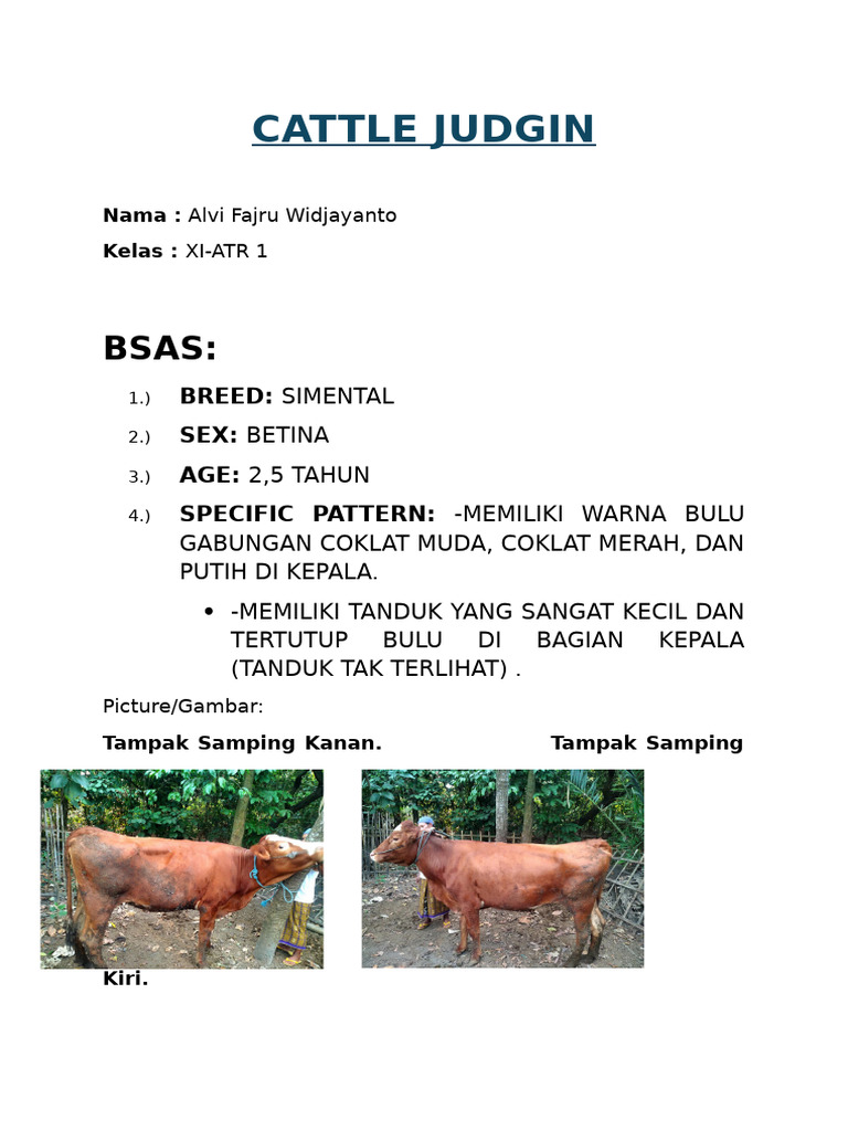 Body Condition Score BCS | PDF