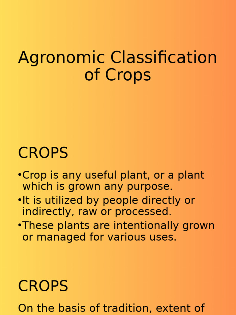 Agronomic Crop Classification Overview | PDF | Crops | Cereals