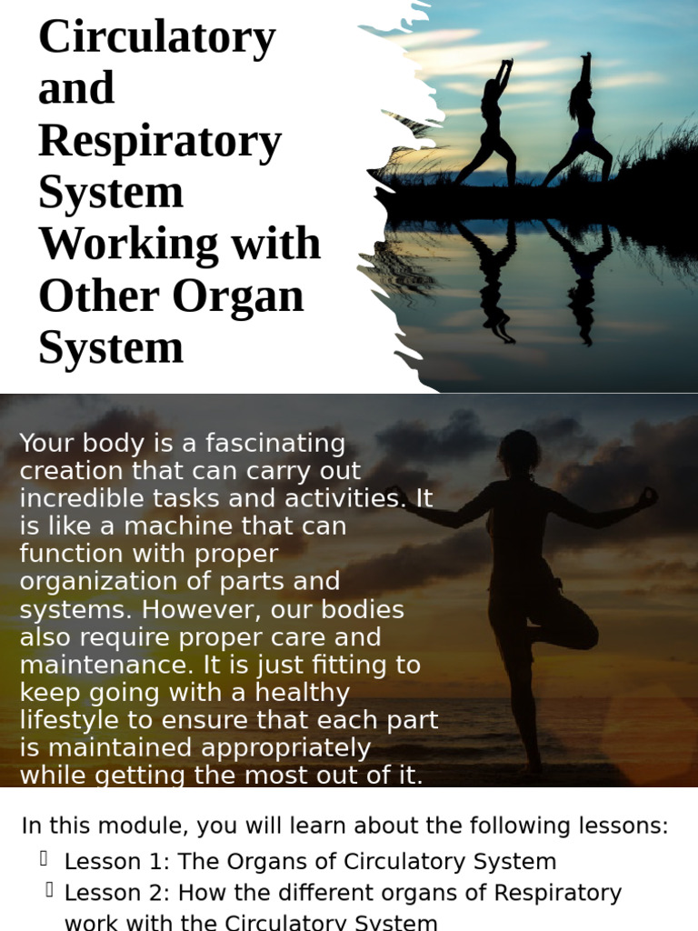 Circulatory and Respiratory System | PDF | Heart Valve | Heart
