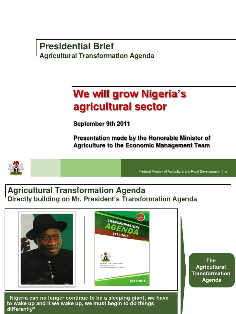 Agricultural Master Plan | PDF | Rice | Agriculture