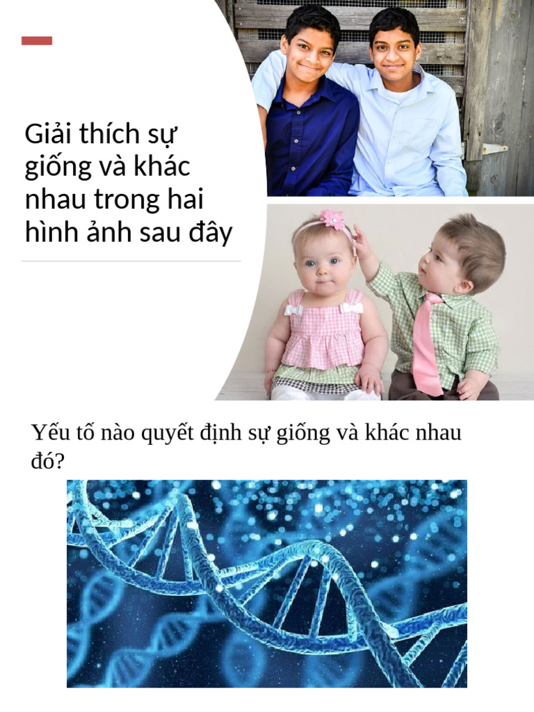 Bai 1 Sinh 12 CTST | PDF