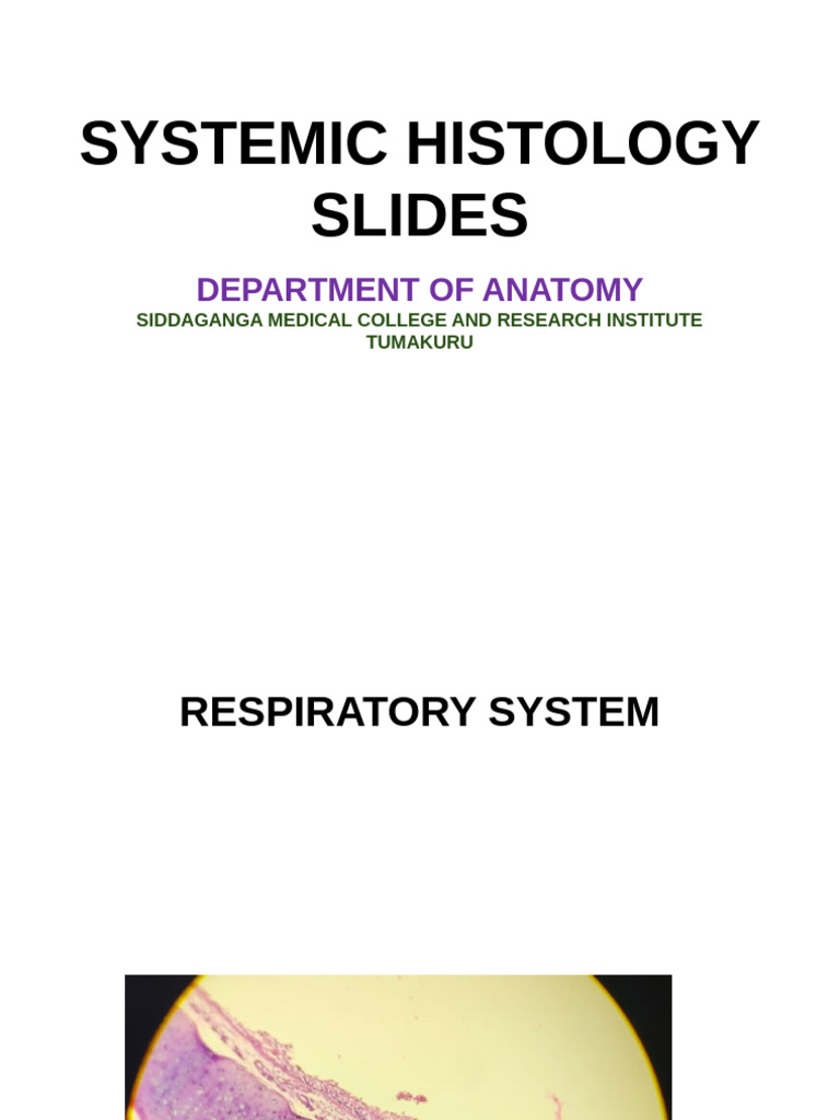 Systemic Histology Slides | PDF