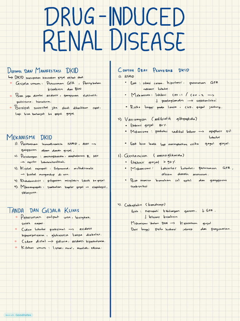 Drug Induced Renal Disease | PDF