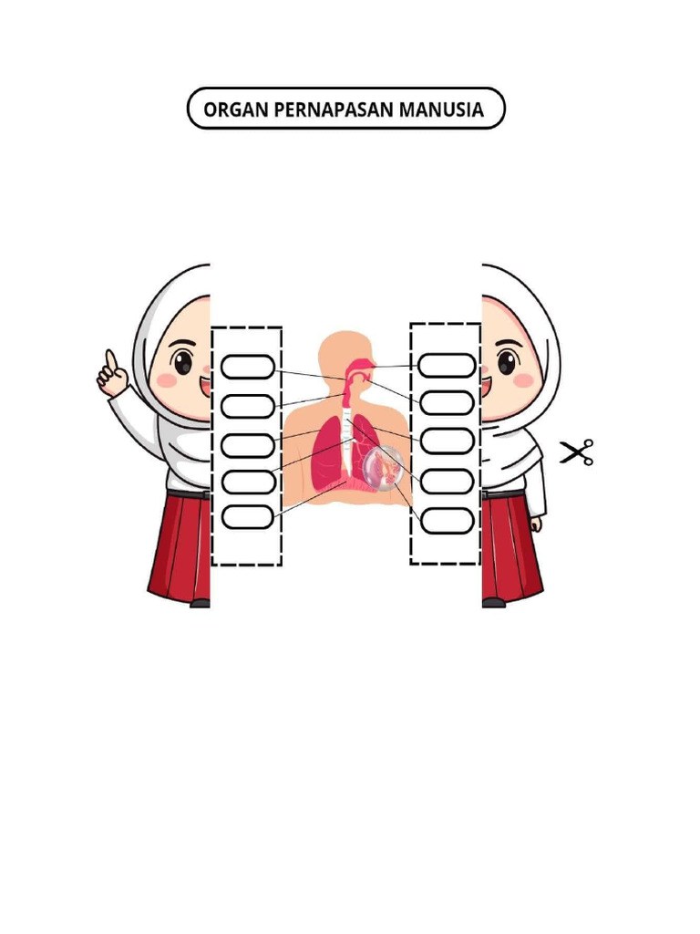Happy Note Sistem Pernafasan | PDF