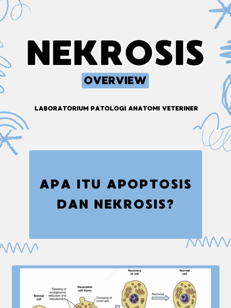 Nekrosis (Overview) | PDF