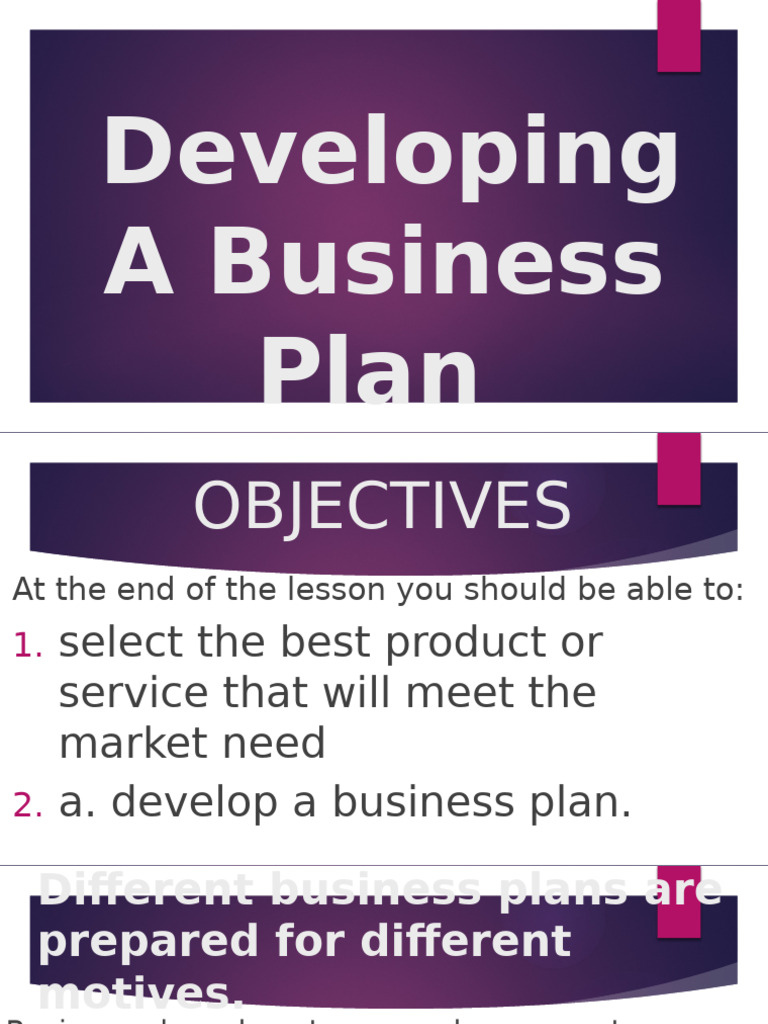 Developing Business Plan | PDF | Business | Information