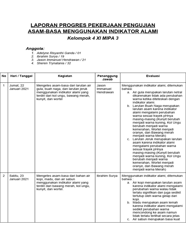 Laporan Progress Pekerjaan | PDF