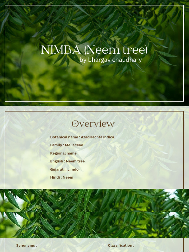 NIMBA (Neem Tree) - 20250827 - 102152 - 0000 | PDF
