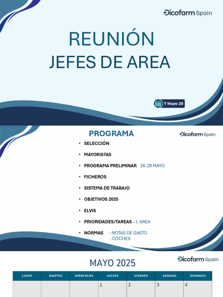 Reunión Jefes de Área: Objetivos y Prioridades | PDF