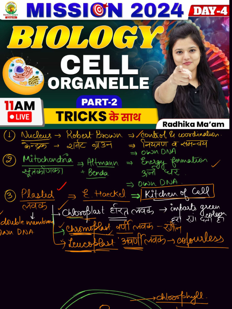 Cell Organelle 2 | PDF | Cell (Biology) | Mitochondrion