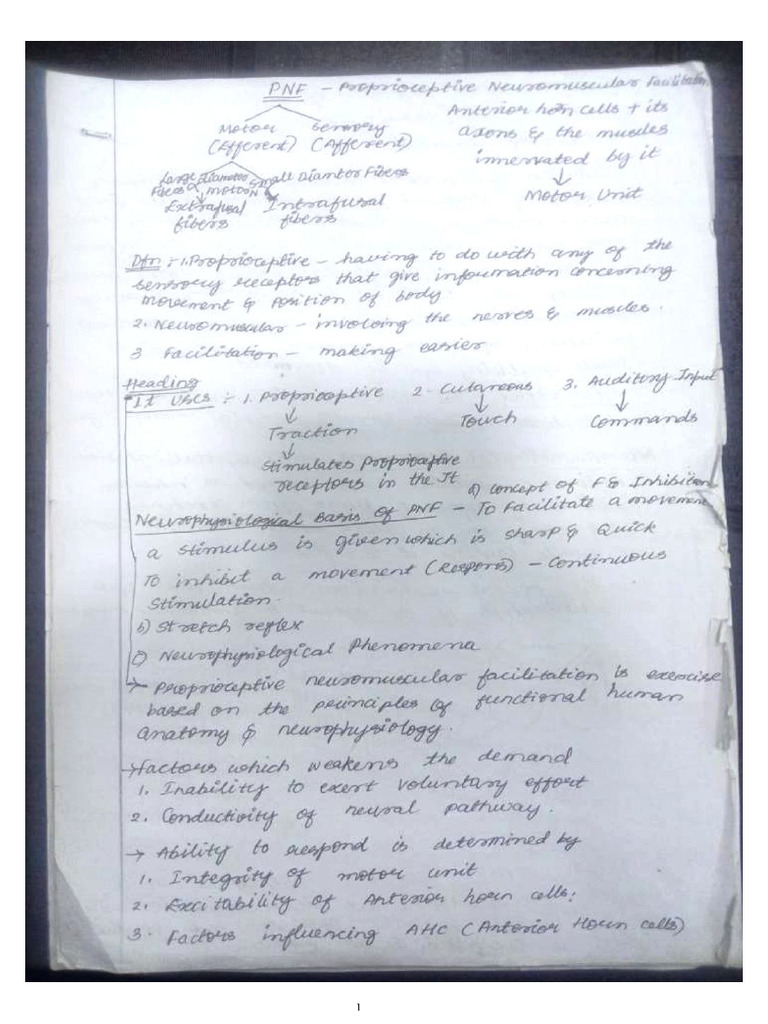 PNF Notes | PDF