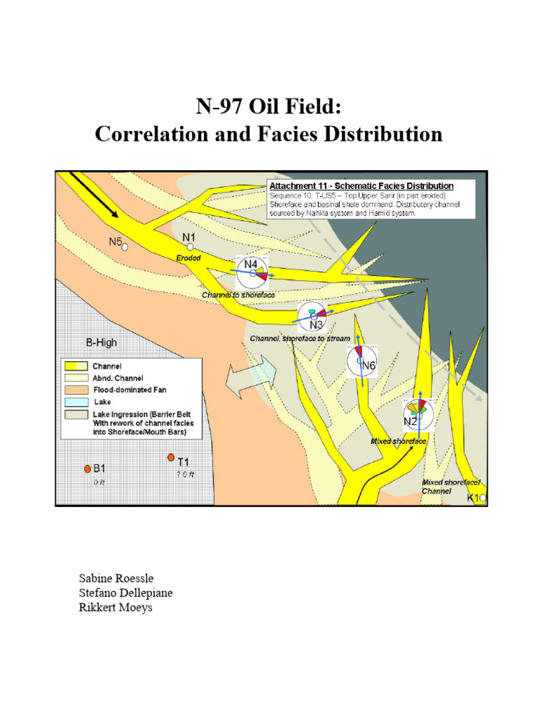 Facies and Correlations of N - Field - 2006 - Report | PDF | Petroleum ...