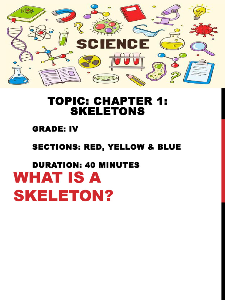 Zoom Science Class-Grade 4 | PDF | Skeleton | Bone