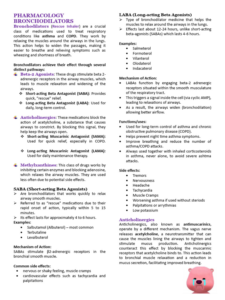 Understanding Bronchodilators for Asthma & COPD | PDF | Asthma ...