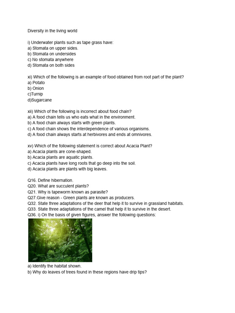 Diversity and Mindful Eating CPG 6 | PDF | Plants | Foods