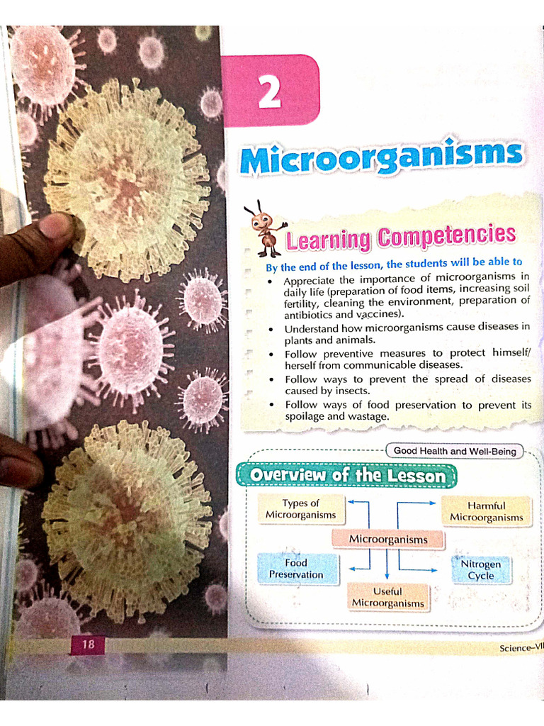 2 Microorganisms | PDF