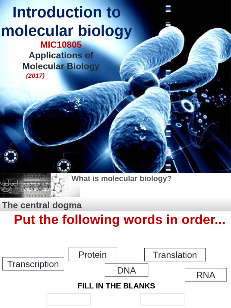 Molecular Biology Applications Overview | PDF | Rna | Dna