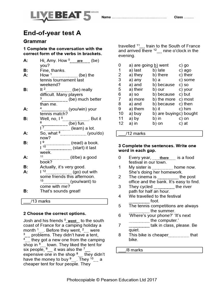 End-of-Year Grammar Test for Students | PDF