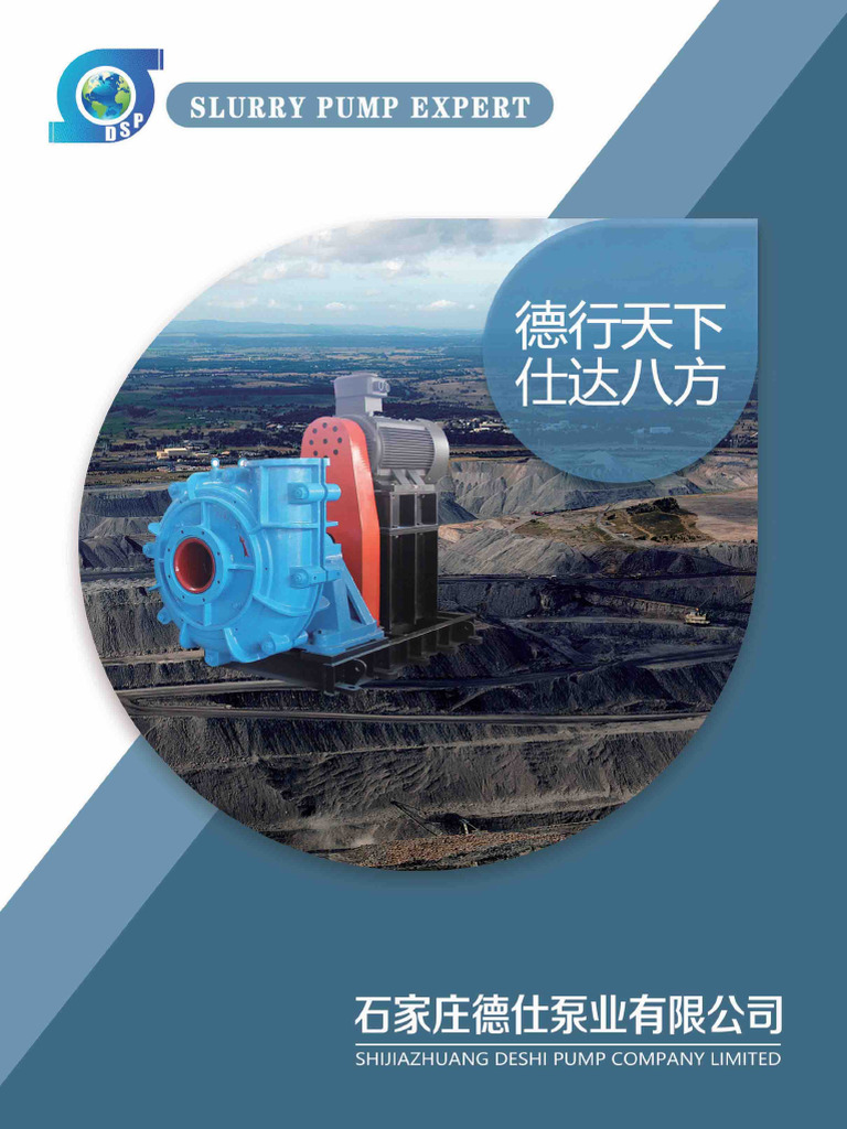 Dsp-Hs Ms Hhs Brochure | PDF