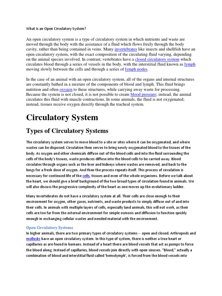 What Is An Open Circulatory System | PDF | Circulatory System | Heart