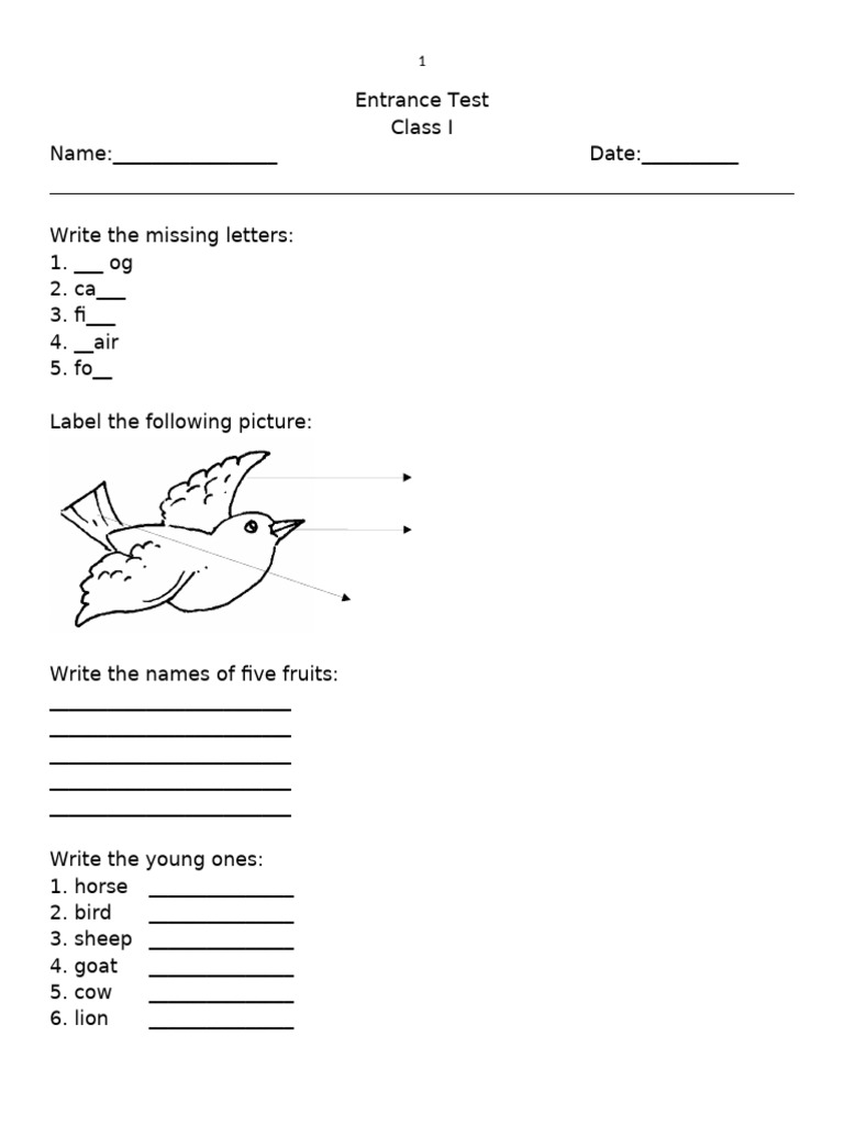 Class I Entrance Test Worksheet | PDF