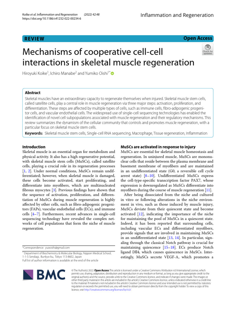 Mechanisms of Cooperative Cell-Cell Interactions in Skeletal Muscle ...