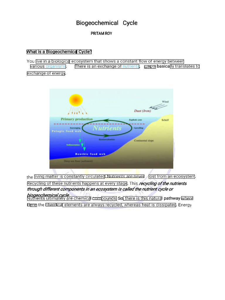 Biogeochemical Cycle | PDF