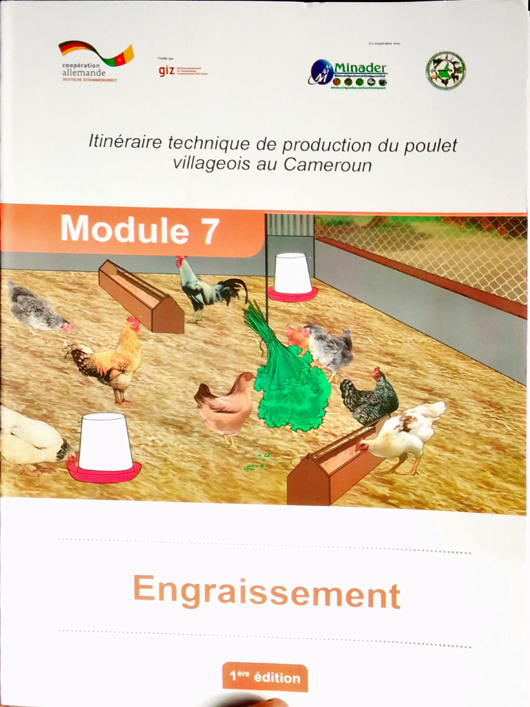 Module 7 | PDF