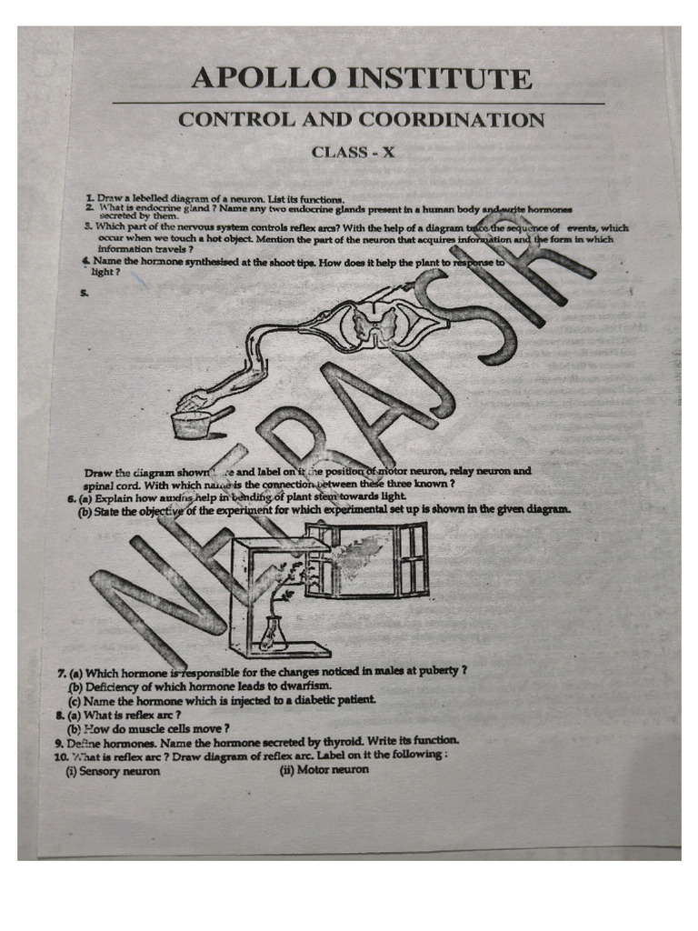 Biology CH 2 Control and Coordination | PDF