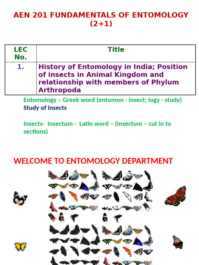 History of Entomology in India | PDF | Invertebrate