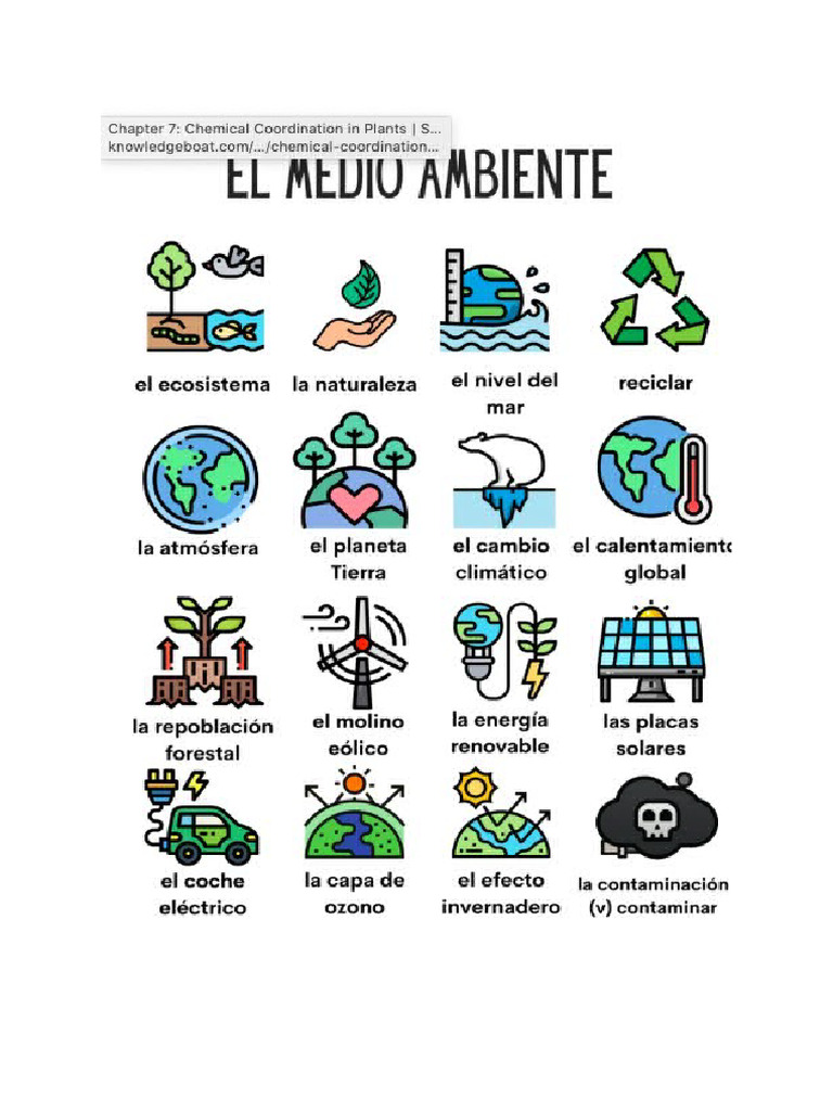 Medioambiente - Vocabulario | PDF
