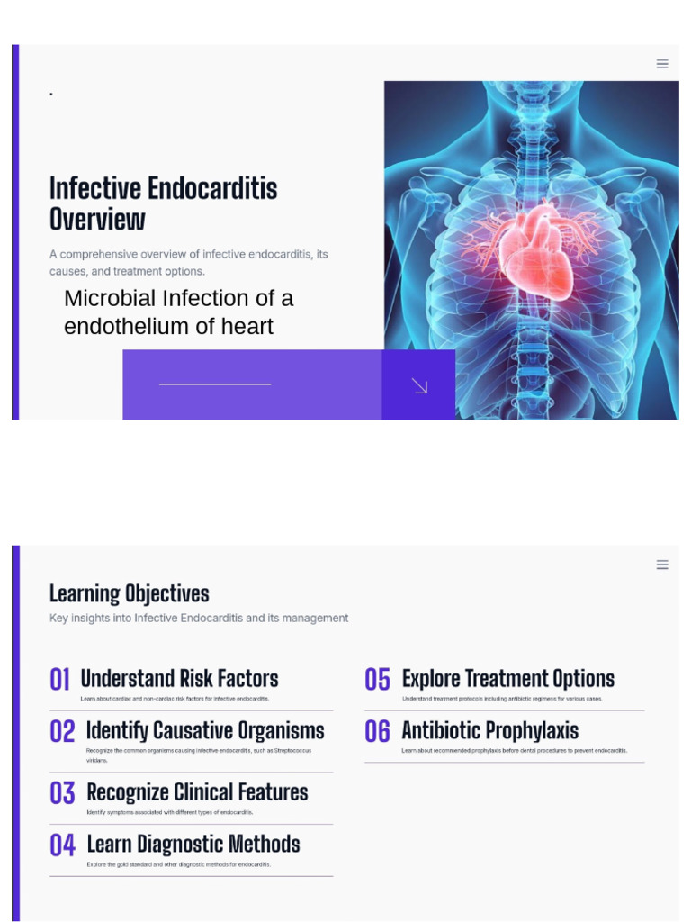 Infective Endocarditis 4 | PDF