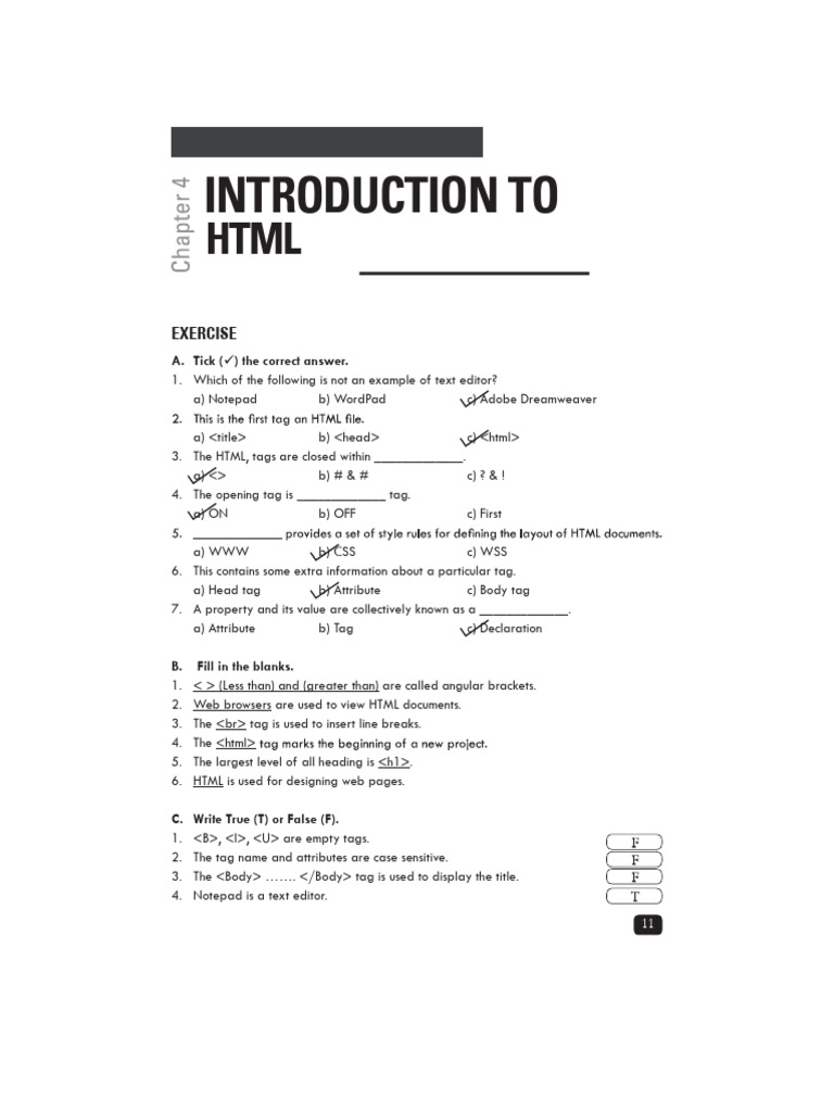 Class 7 HTML Basics Exercise | PDF | Html Element | Html