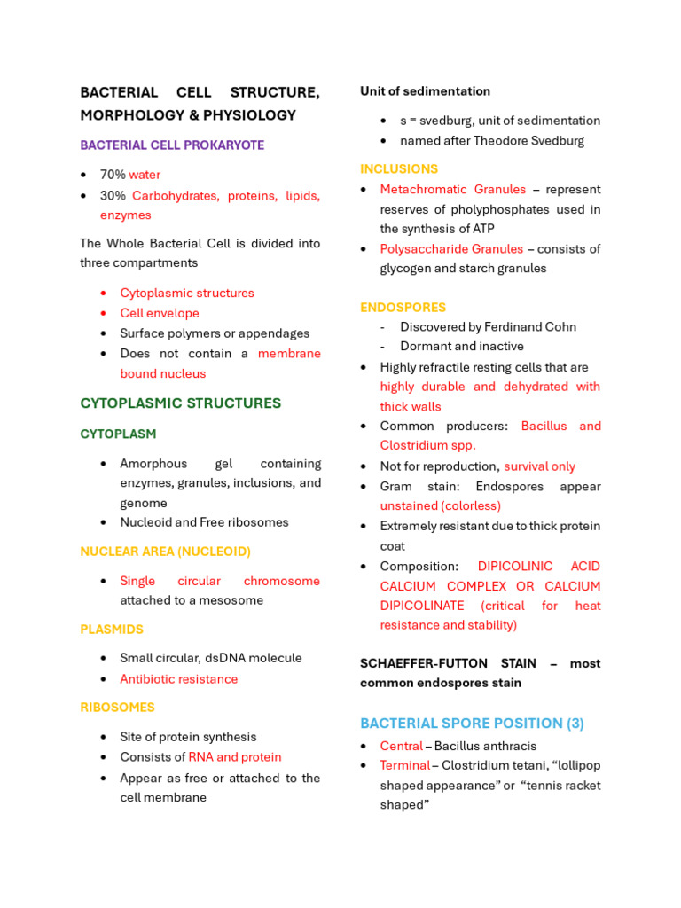 Carlos - Cram Notes On - Bacterial Cell Structure | PDF | Cellular ...