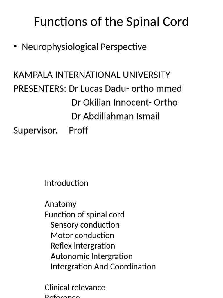 Spinal Cord Functions Explained | PDF | Spinal Cord | Motor Neuron