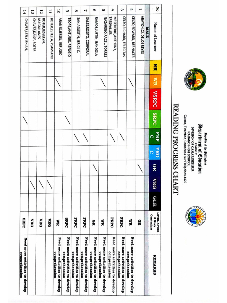 Progress Chart | PDF