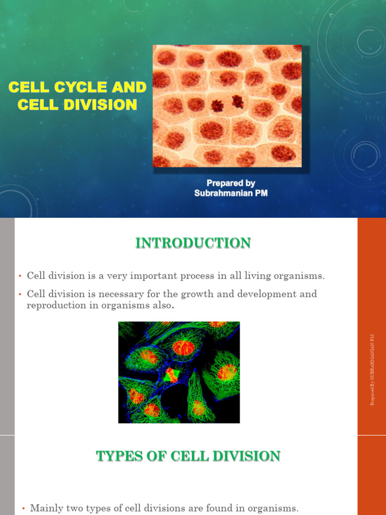 Cell Cycle and Division Overview | PDF | Meiosis | Mitosis