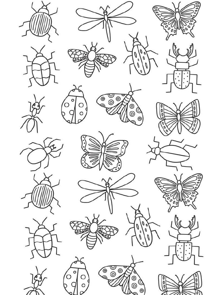Insecto S | PDF