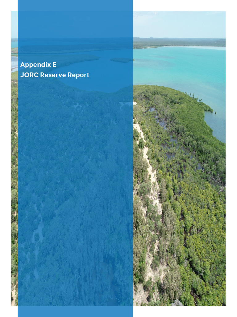 Appendix e Jorc Reserve Estimate Report | PDF | Mining | Earth Sciences
