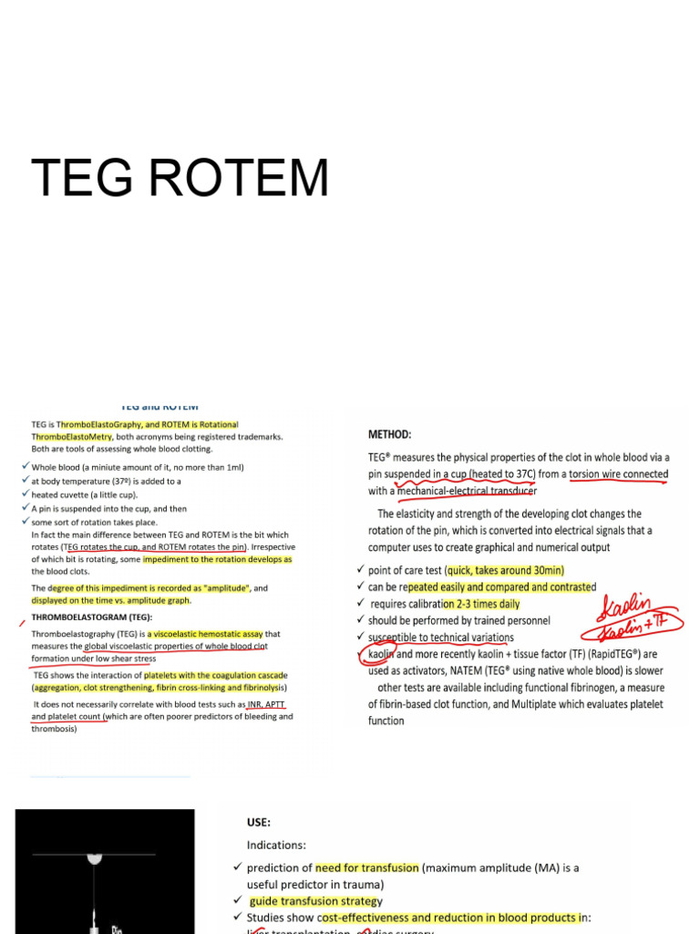 teg rotem | PDF