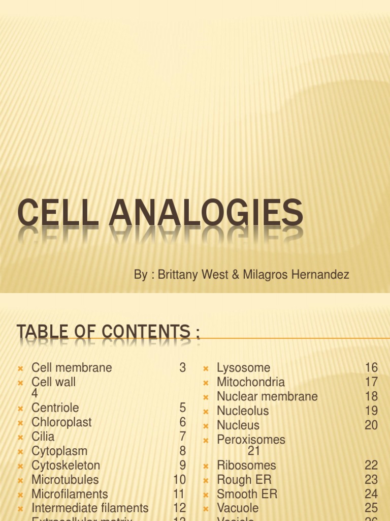 Cell Organelle Functions and Analogies | PDF | Cytoskeleton | Cell ...