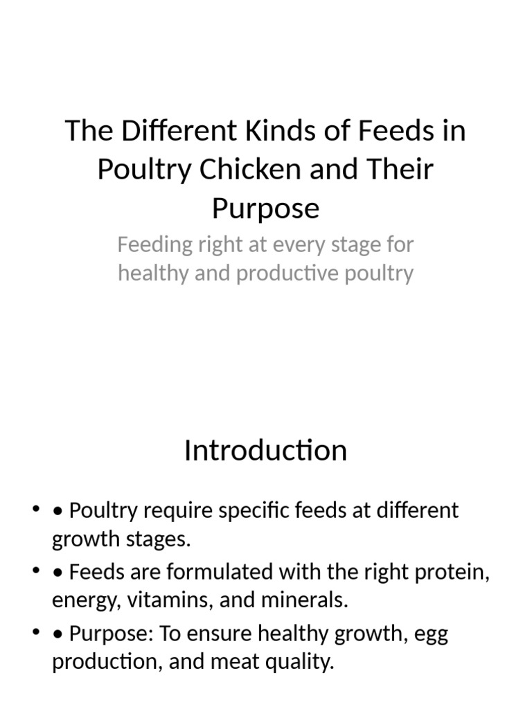 Poultry Feed Types and Their Benefits | PDF