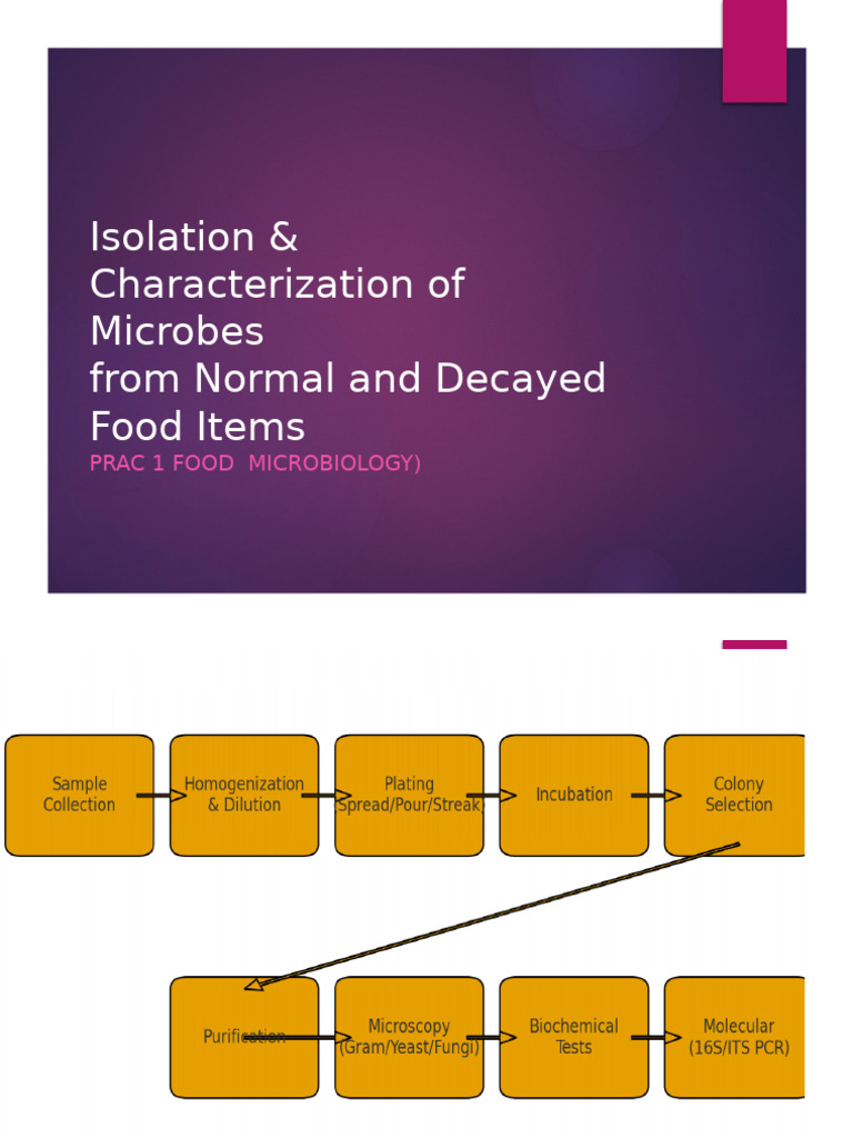 Isolation Characterization Microbes Food | PDF | Biology | Microbiology