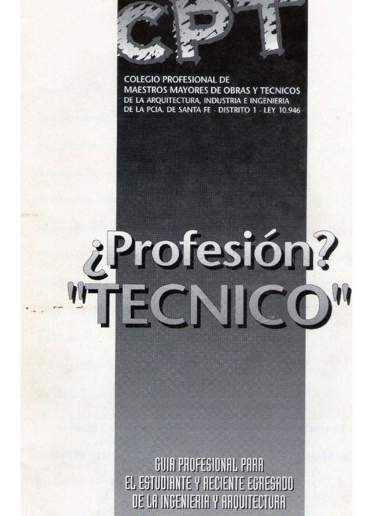 Guia Profesional 2 | PDF