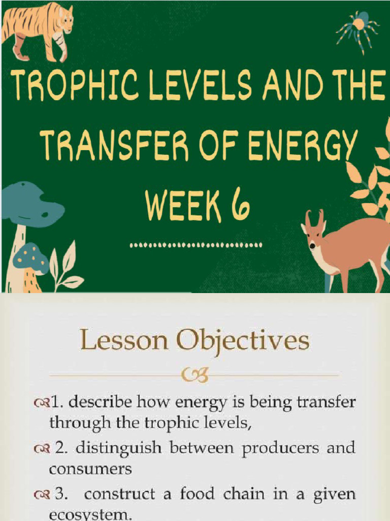 Trophic Levels and The Transfer of Energy - Week 6 | PDF
