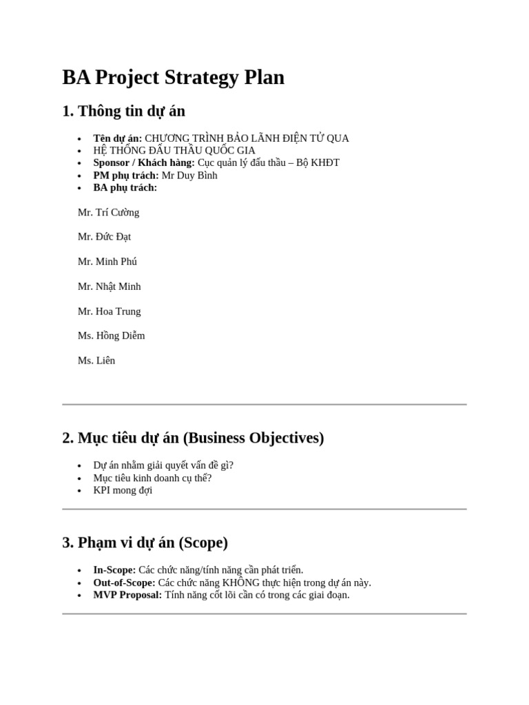 BA Project Strategy Plan | PDF